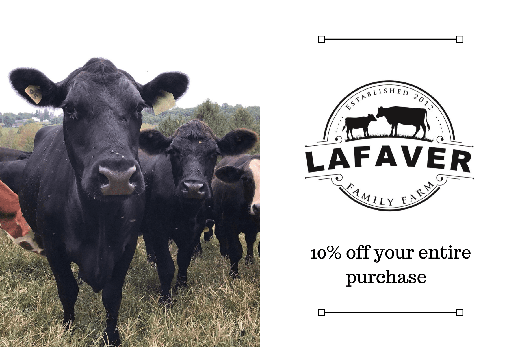 Go Taste Berks Coupon Book - Greater Reading Chamber Alliance