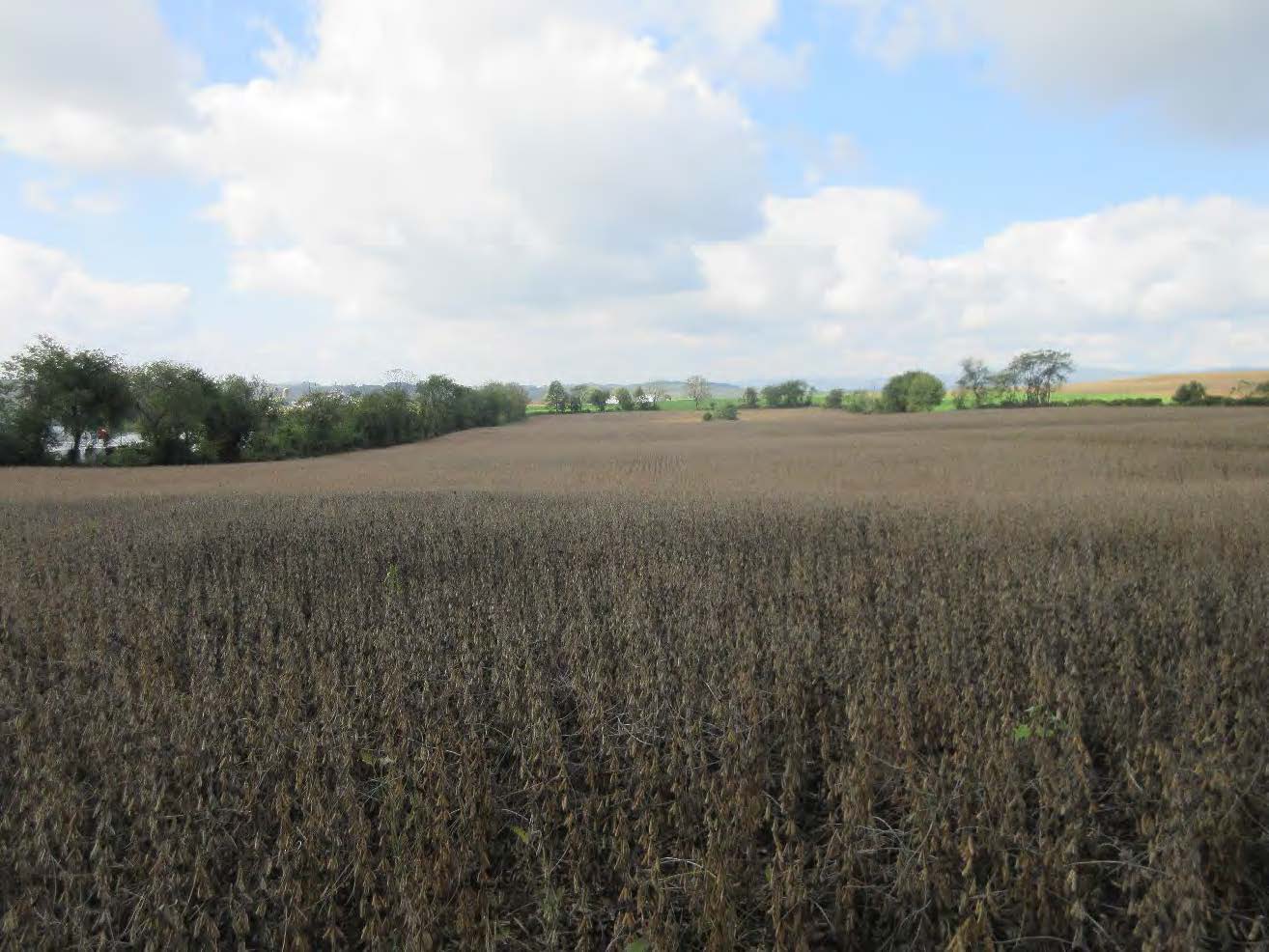 GBDF helps secure PIDA loan for local farm - Greater Reading Chamber ...