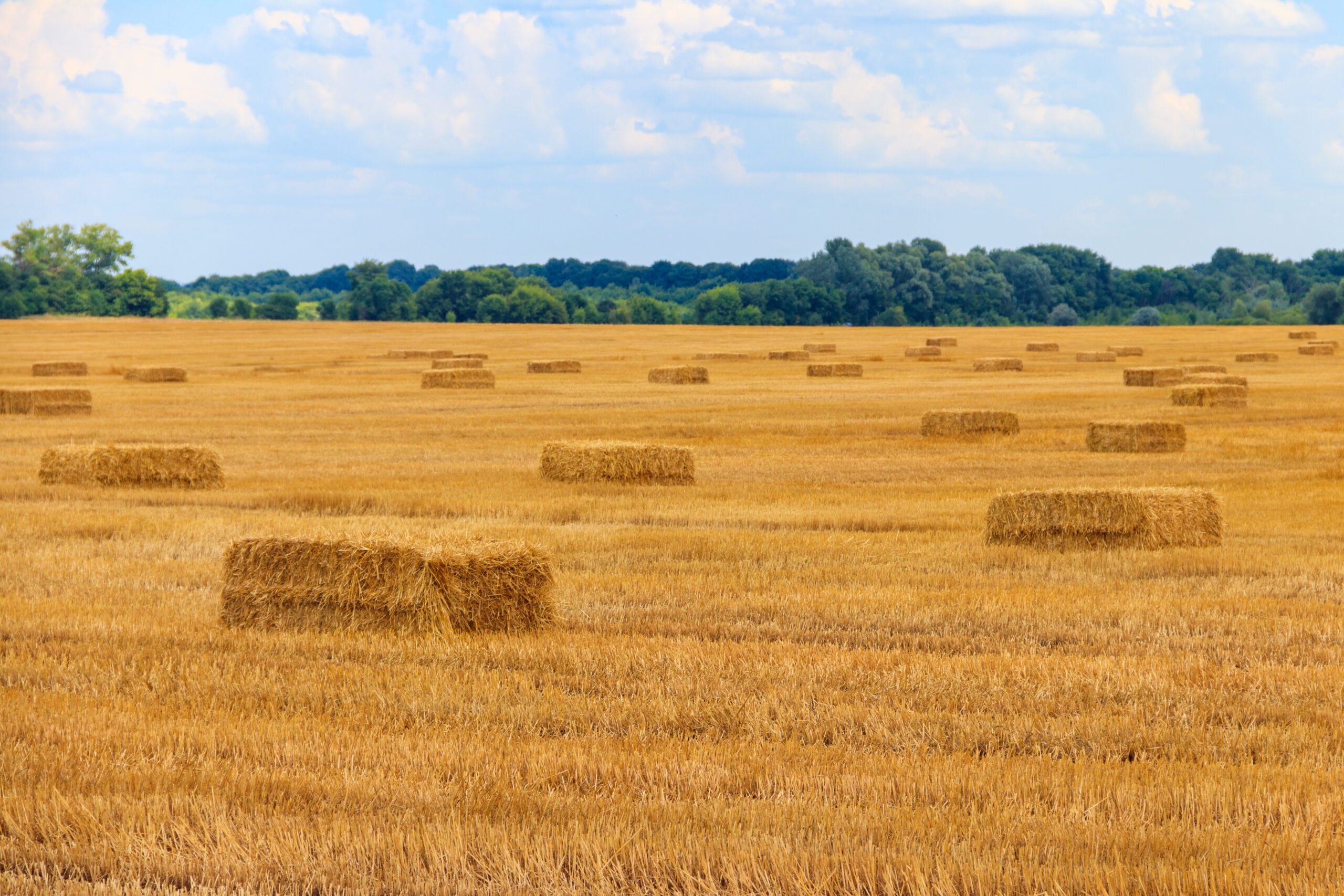 Local family receives PIDA loan to purchase Shoemakersville farm ...